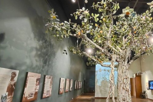 Bihar Museum Patna